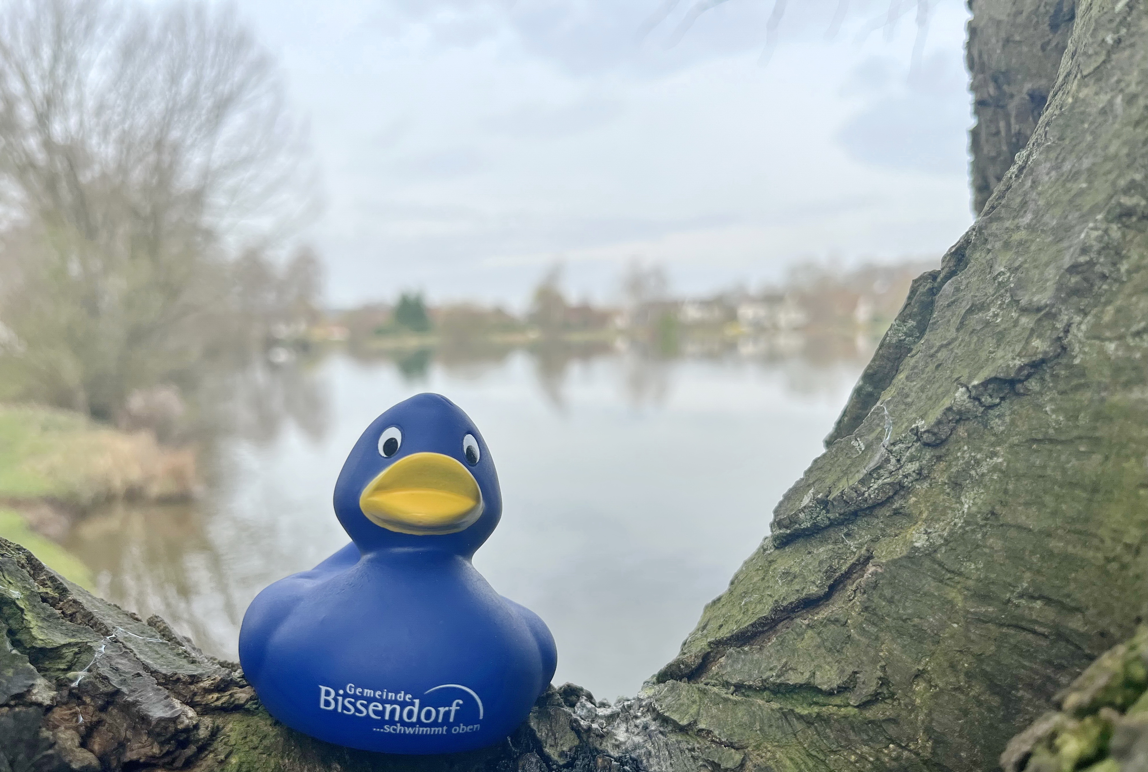 Quietscheente der Gemeinde Bissendorf packt das Fernweh